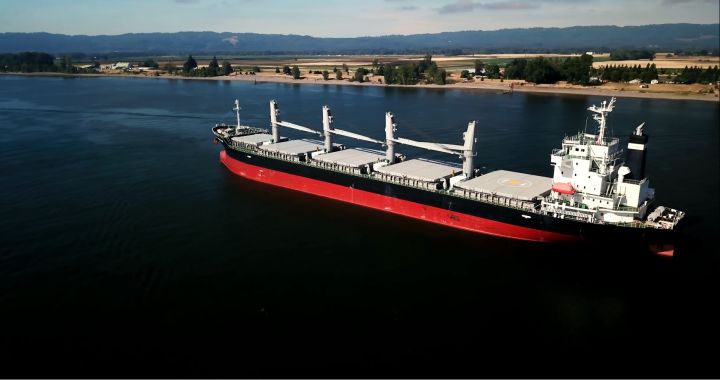 The Importance of Reliable Shipping Agency Services – M H Shipping Lines